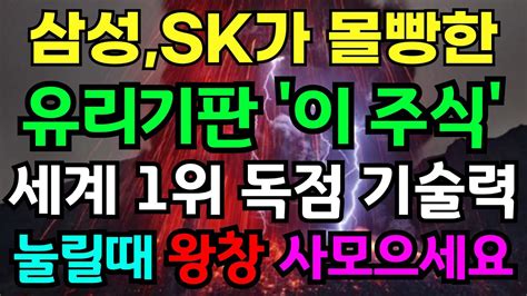삼성전자 Sk가 몰빵한 유리기판 대장 이 주식 지금 눌릴때 왕창 사 모으세요 5월 큰 돈 됩니다 Youtube