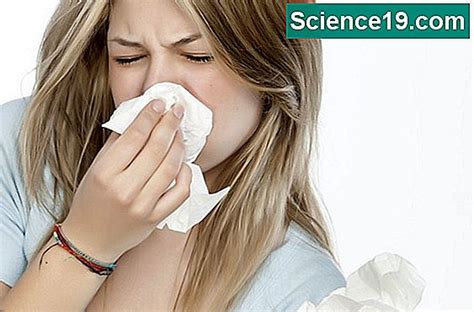 Jak Wyjaśnić Różne Typy Dowodów W Geometrii 💫 Naukowe I Popularne Portal Multimedialny 2025