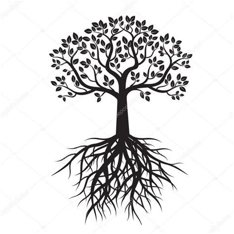 Roots Vector Free At Vectorified Collection Of Roots Vector Free