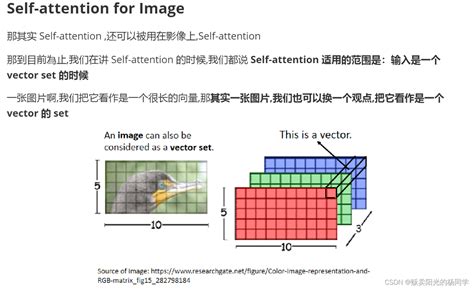 Multi Head Self Attention And 应用到图片图片如何使用多头注意力机制 Csdn博客