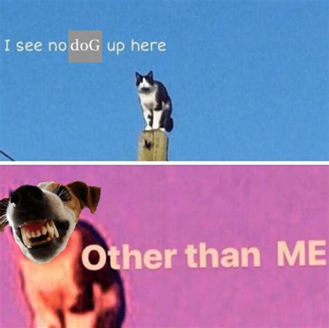 Plot Twist R Dankmemes