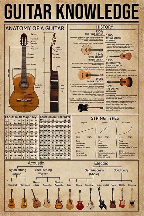 Understanding The Basics An Introduction To Guitar Anatomy 2 In 2024
