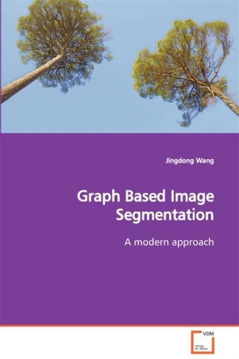 Graph Based Image Segmentation A Modern Approach 9783639110746