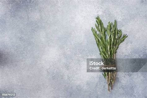 회색 콘크리트 배경에 신선한 로즈마리의 가지 공간을 복사합니다 건강관리와 의술에 대한 스톡 사진 및 기타 이미지 건강관리와 의술 건강한 생활방식 나뭇가지 Istock