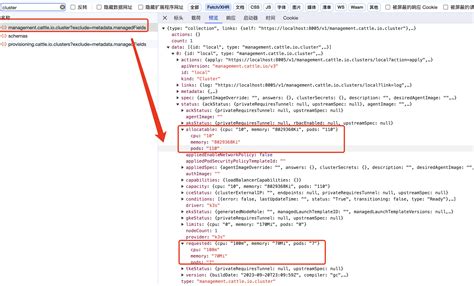 Rancher UI界面pod容量显示为 Rancher x Rancher 中文论坛