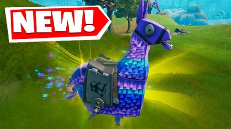 Running Llama