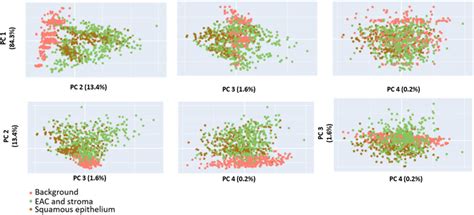 Principal Component Analysis Pca Of The Four Classes Were Performed Download Scientific