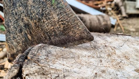 Premium Photo Ax And Ax Handle Woodworking Deforestation With A Sharp