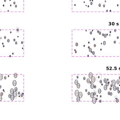 Xy Cross Section Of The Simulation Domain Download Scientific Diagram