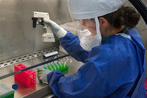 How To Increase Platelet Count Naturally Foods To Increase Platelet Count