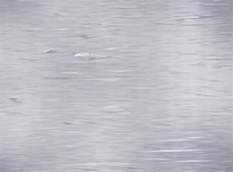 Premium Photo Metal Texture