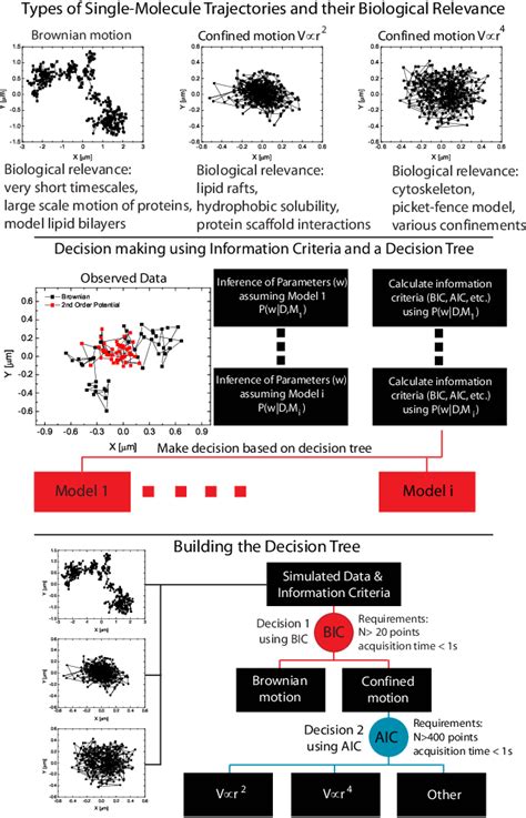 Figure 1 From Bayesian Decision Tree For The Classification Of The Mode