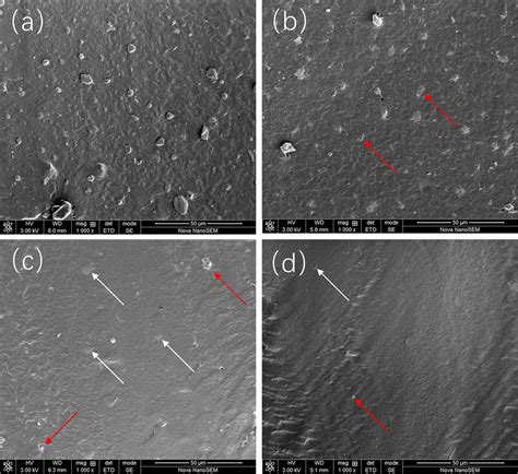 Sem Micrographs Of The Fractured Surfaces Of Nbr Cuso4 Composites A