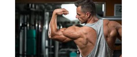 Какие упражнения на бицепс являются оптимальными