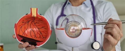 What To Know About Persistent Corneal Epithelial Defects Platohealth