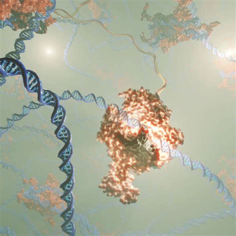 Bioterrorism Security Assessment Alliance B S A A