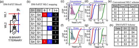 A Schematic Of Proposed Dm Fefet Imc Bitcell B Mlc State Mapping Download Scientific