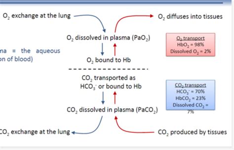 Oxygen Transport Flashcards Quizlet