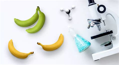 Этен Цахим хичээлүүд Mn Mozaik цахим боловсрол ба сургалт