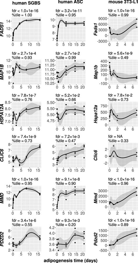 Sex Differences In Human Adipose Tissue Gene Expression And Genetic Regulation Involve Adipogenesis