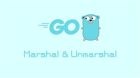 Go lang JSON Marshal Unmarshal 마샬 언마샬 THISI3WAVES