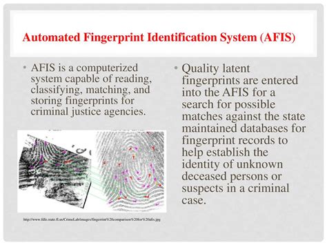 Automated Fingerprint Identification System Pdf At Jenenge Blog