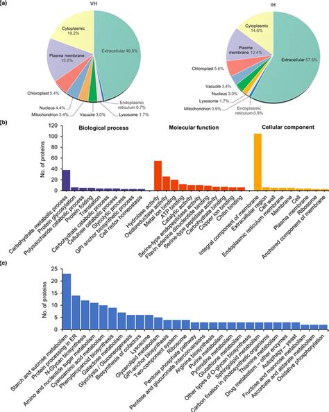 Prediction Of Subcellular Localization And Functional Classification Of