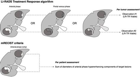 Comparison Between Liver Imaging Reporting And Data System Li Rads