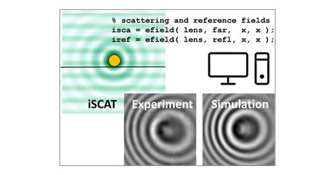 Unified Simulation Platform For Interference Microscopy Acs Photonics