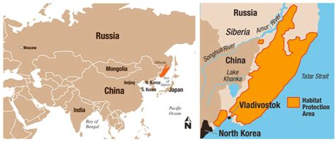 Siberian Tiger Habitat Map