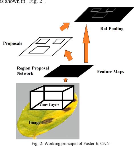 Figure 2 From Automated Detection Of Plant Diseases Using Image Processing And Faster R Cnn