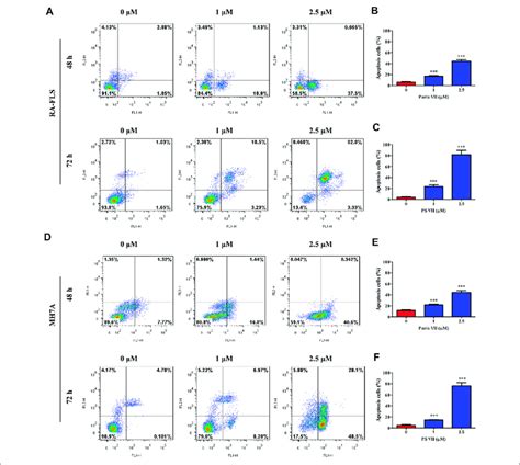 Effects Of Ps Vii On Apoptosis In Ra Fls And Mh7a Cells Ra Fls And