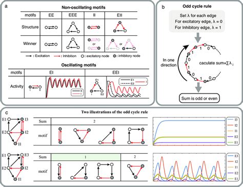 Structural Condition For Oscillations Odd Inhibitory Cycle Rule And Download Scientific