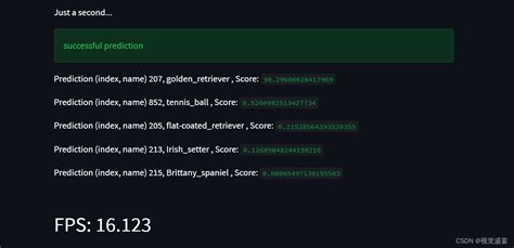 Pytorch 实现图像分类web部署pytorch模型部署到web Csdn博客