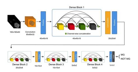 An Illustration Of The Architecture Of Our 3d Densenet Deep Learning
