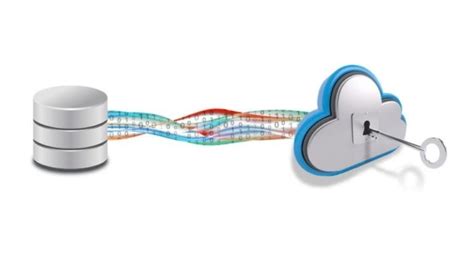 Why Should Small Businesses Move Toward Cloud Databases In The Future