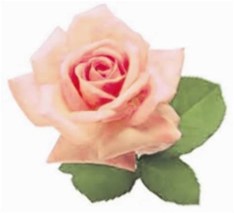 Ruth Morrison Obituary 2021 Legacy Remembers