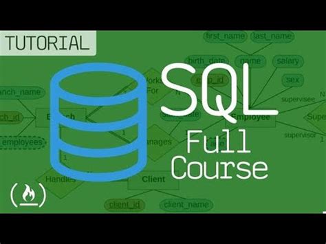 SQL DATATYPE AND DATATYPE SIZE MODIFY YouTube