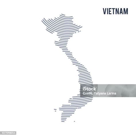 벡터 추상 부 화 지도 베트남의 곡선 라인 흰색 배경에 고립 0명에 대한 스톡 벡터 아트 및 기타 이미지 0명 곡선 국가 지리적 지역 Istock