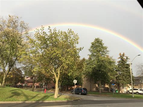 무지개 나무 Pixabay의 무료 사진 Pixabay