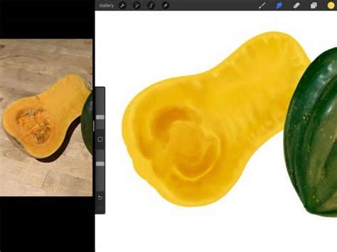 How To Draw Squash Step By Step Procreate Tutorial