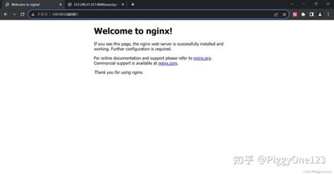 Linux上如何使用docker部署前后端分离项目含部署多个前端页面的方法 知乎
