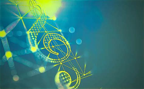 Коло пятих Повний посібник для початківців