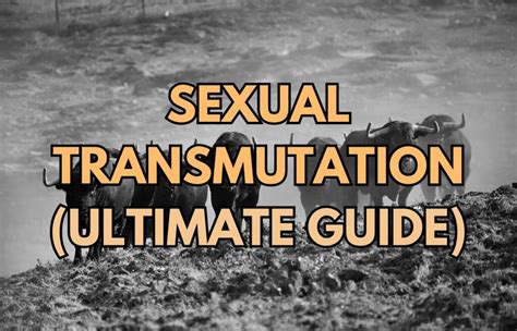 Sexual Transmutation How To Transmute Your Sexual Energy