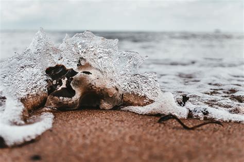 파도 거품 가까이 Pixabay의 무료 사진 Pixabay