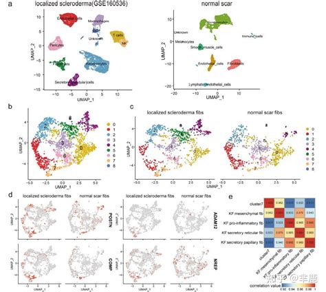 Nc发文：单细胞测序解析皮肤纤维化的发病机制 知乎