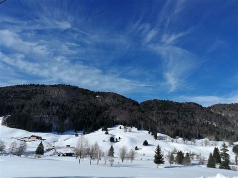 Danza Oriental Alquimica Carmen Amal Carta De Empoderamiento