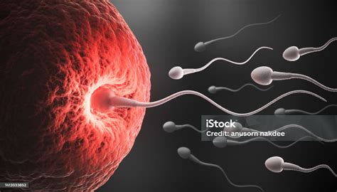 난자 거품을 향한 정자 자연 수정3d 그림 파란색 배경에 대한 스톡 사진 및 기타 이미지 파란색 배경 0명 Dna Istock