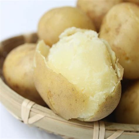 막바지 봄물결 가득한 5월의 맛