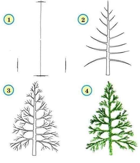 15 Ideeën Over Bomen Tekenen Bomen Tekenen Tekenen Boomtekening